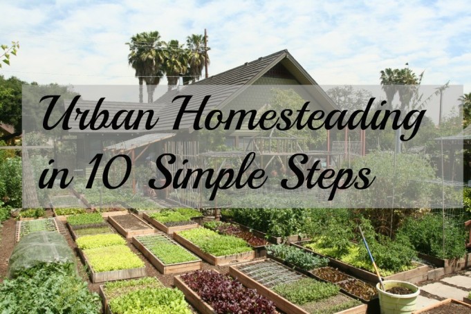 10 Simple Steps Towards Self-Sufficient Homesteading! - Think About Now
