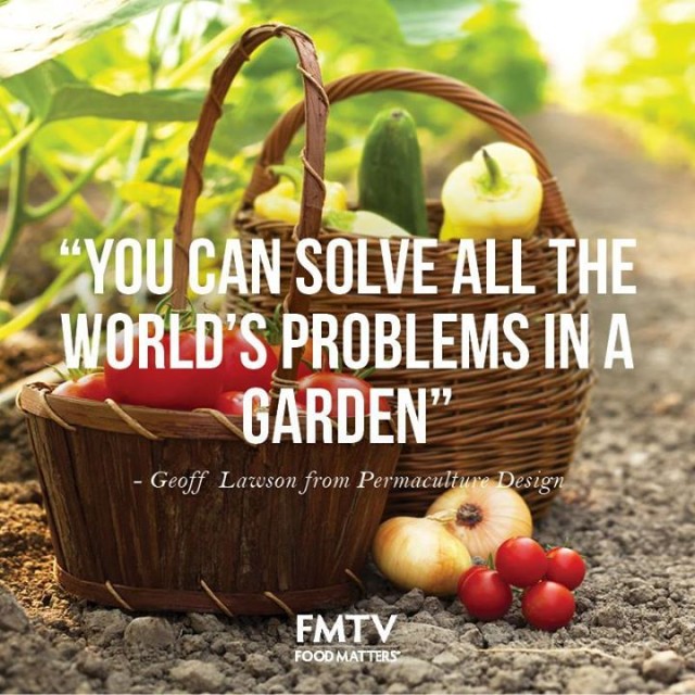 Anyone Can Build This Instant Garden! - Think About Now